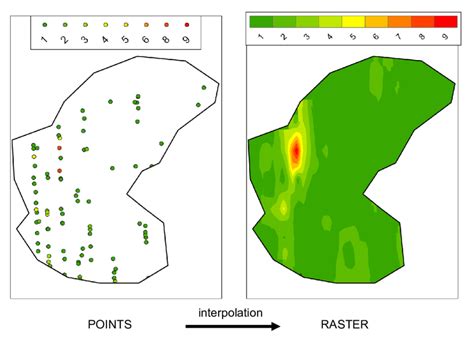 an example of point to raster conversion using the inverse distance