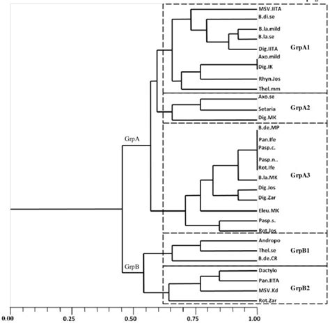 Relatedness Of 30 Maize Streak Virus Isolates As Determined By Split Download Scientific