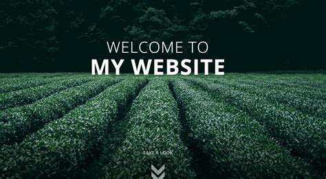 How To Design Interactions Effectively Webflow Blog