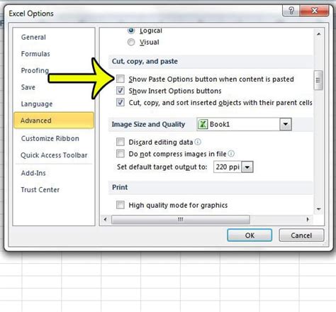 How To Hide The Paste Options Button In Excel 2010 Live2Tech