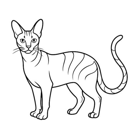 Geoffroys Cat Outline Images Free Download On Freepik