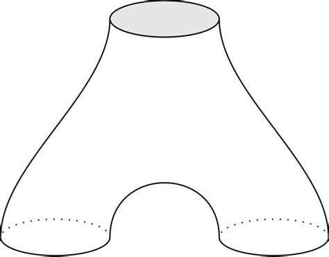String Topology Alchetron The Free Social Encyclopedia