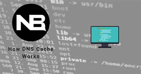 How DNS Cache Works NetBeez Blog