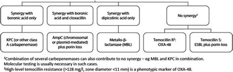 Full Article Epidemiology Of Carbapenem Resistant Enterobacteriaceae Cre And Comparison Of