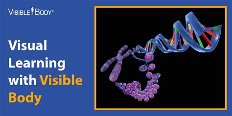 More Than Meets The Eye Visual Learning For The Life Sciences