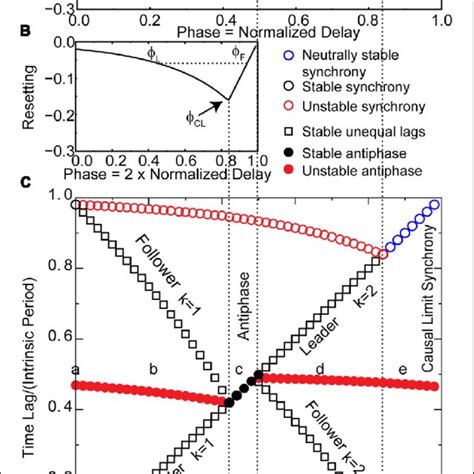 Typical Patterns Observed In A Pair Of Pulse Coupled Lif Oscillators