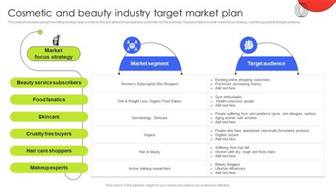 Cosmetic And Beauty Industry Target Market Plan Customer Demographic