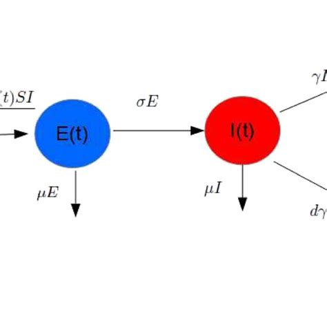 Surface Plot Of R0 Versus σ And β0 Color Figure Can Be Viewed At Download Scientific Diagram