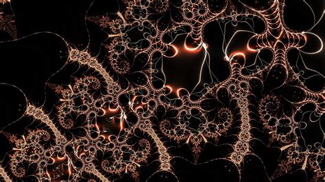 Collatz Fractal