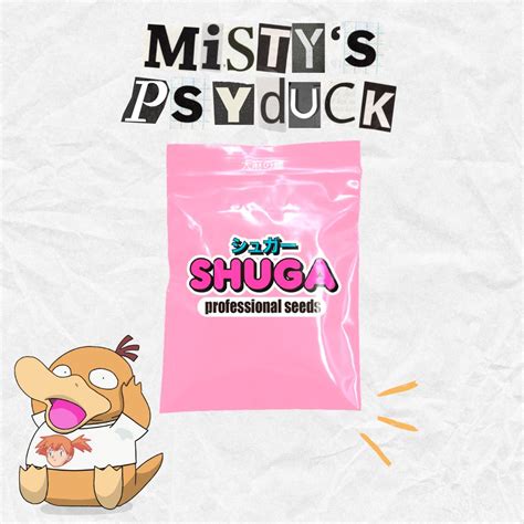 Mistys Psyduck Shuga