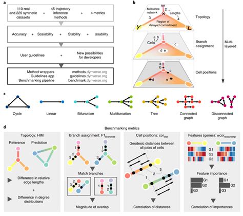 11 Trajectory Inference Analysis Of Single Cell Rna Seq Data