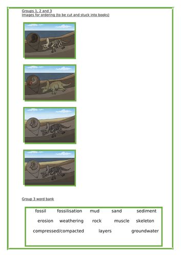 Fossils Fossilisation Worksheet And Extension Task Teaching Resources