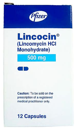 Lincocin Meds Archive