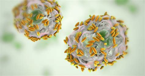 Boric Acid For Yeast Infection Use Side Effects Risks And More