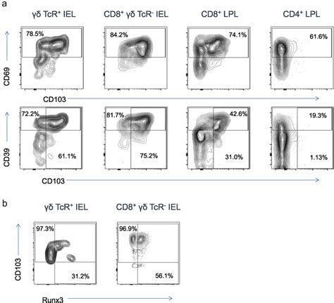Colonic γδ T Cells And Trm Expressing The Cd103 Surface Marker And