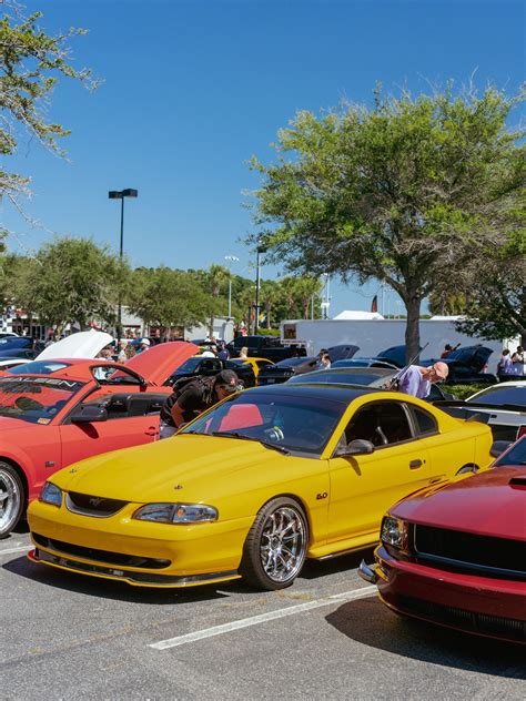 Mustang Week Mustang Week Added A New Photo — At