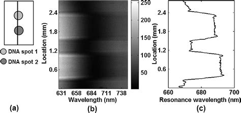 Polarization Interferometry Based Wavelength Interrogation Surface