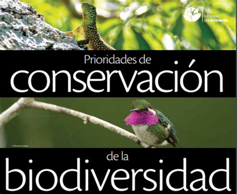 Prioridades De Conservación De La Biodiversidad Y Procesos De Cambio