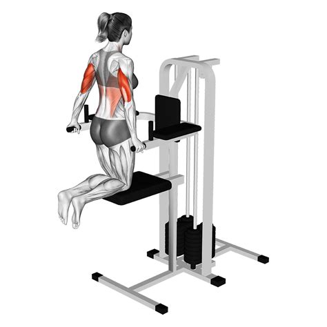 What Are The Benefits Of Doing Assisted Dips Inspire Us What Are The Benefits Of Doing Assisted Dips Inspire Us