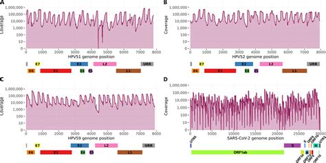 Sequencing Coverage In Representative Hpv51 52 59 And Sars Cov 2