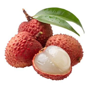 Litchi Images PNG Transparent Images Free Download Vector Files Pngtree