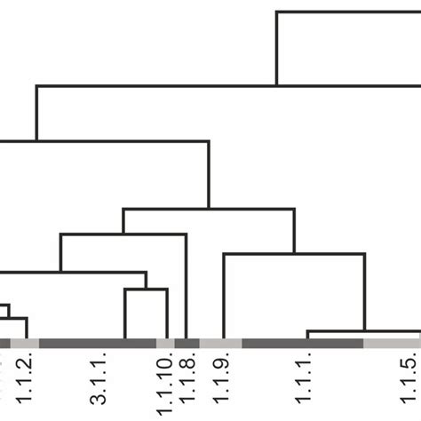 Dendrogram For The Classification Of The Vegetation Of The Alpine