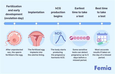 How Long After Implantation Bleeding Can I Test For Pregnancy Femia
