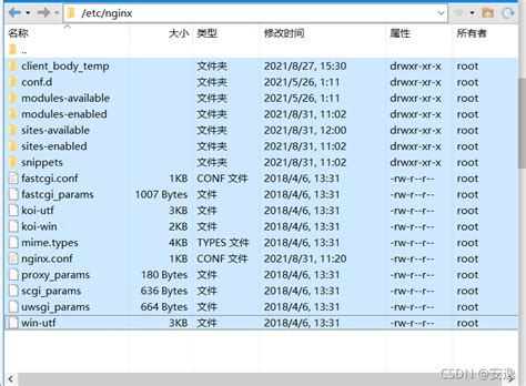 【nginx】linux服务器在线安装nginx并修改默认端口和配置代理 linux改nginx端口 csdn博客