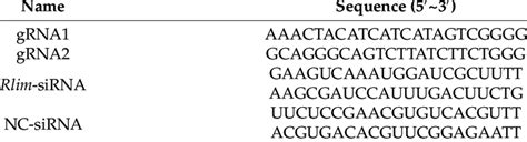 Sequences Of Grnas Rlim Sirna And Nc Sirna Used In This Study