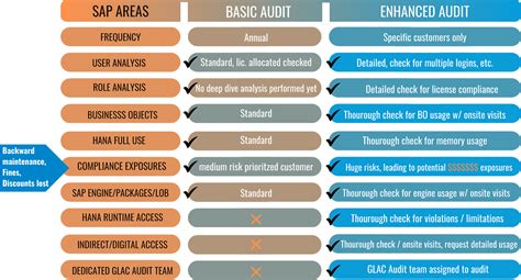Honico Sap Audit Defense Dynamic License Control