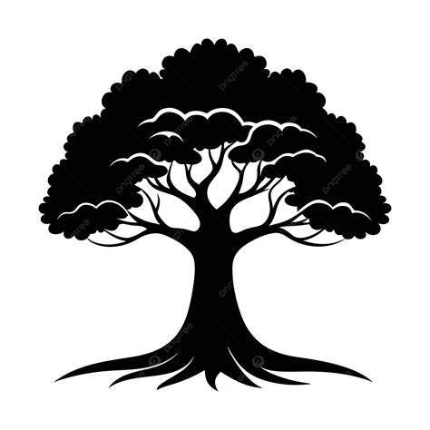 التصوير الفوتوغرافي صورة ظلية شجرة التصوير الفوتوغرافي صورة ظلية شجرة