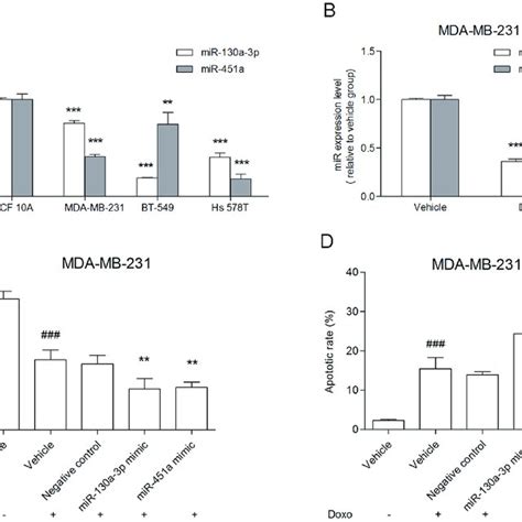 Hierarchical Clustering Of The 41 Mirnas With A Significantly Different