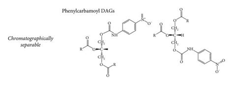 Chromatographic Resolution Of Produced Acylglycerol Species During