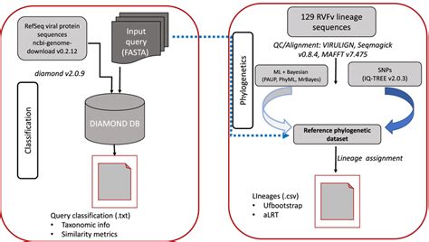 Schematic Representation Of The Command Line Workflow The Workflow