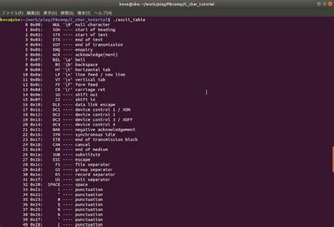Joels Programming Fun Ascii Table In C Char Arrays And Char Pointer Arrays