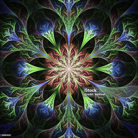 아름다운 차원 분열도형 아이리스입니다 검정 갈색 및 녹색 컴퓨터 제네랄 갈색에 대한 스톡 벡터 아트 및 기타 이미지 갈색 개발 거미줄 Istock