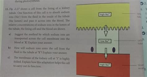 [o level biology] help needed r homeworkhelp