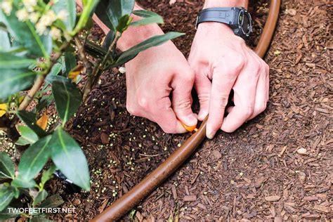 Diy Drip Irrigation Systems For Efficient Watering And 55 Off