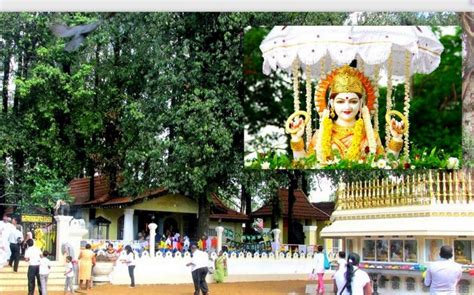 Roar සිංහල පත්තිනි රන් සළඹ තිබෙන නවගමුව ගැන නෑසූ කතා