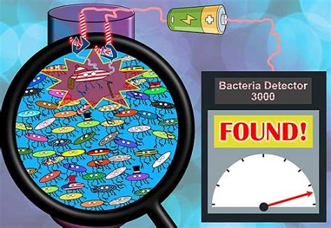 Novel Electrochemical Sensor Detects Dangerous Bacteria Statnano Novel Electrochemical Sensor Detects Dangerous Bacteria Statnano