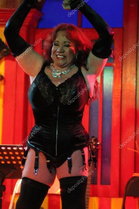 Kitten Natividad Stock Editorial Photo S Bukley