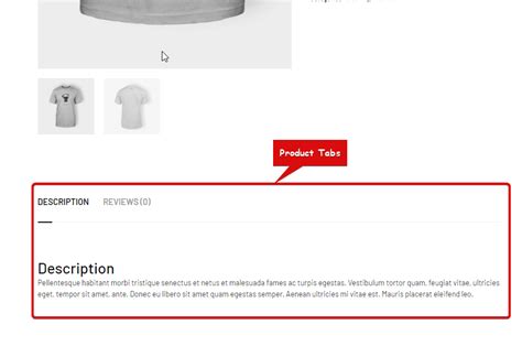 How To Use Product Tabs ShopEngine WIdget WpMet