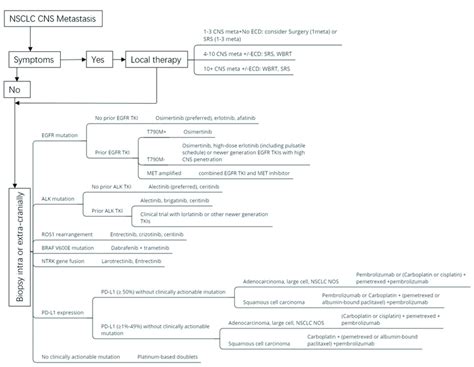 Treatment Algorithm For Nsclc Cns Metastasis Download Scientific Diagram