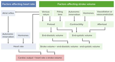 Elevated Stroke Volume