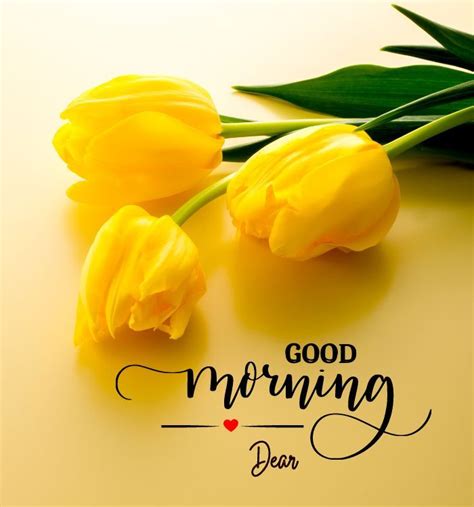 Good Morning Images Quotes And Wishes Special Good Morning Good Morning Flowers Quotes Good