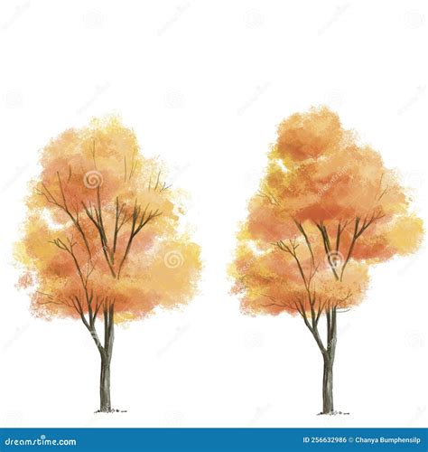 Watercolor Tree Side View For Landscape Stock Photo Image Of Isolated Drawing