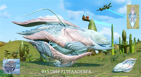 Nms Livingshiplibrary