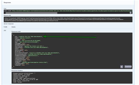 How To Start A Process With Camundas Rest Api Camunda