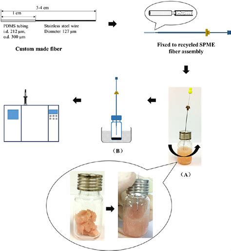 Schematic Diagram Of Extraction And Derivatization Procedures A The