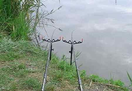 Ловля на фидер: что такое фидер, как ловить рыбу на фидер